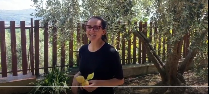 "Divani e Fornelli": Ennio Cannella ci prepara un bel sorbetto limone e ...