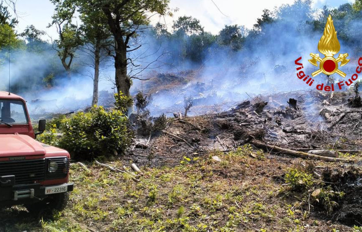 Montegallo, a fuoco un castagneto esteso su un'area di circa 3000 metri ...